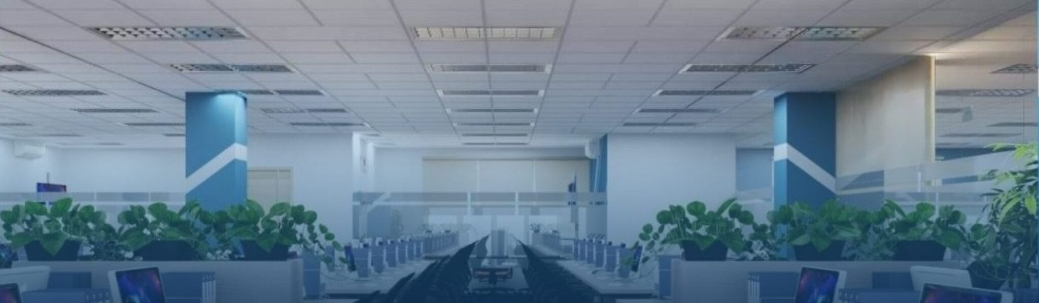 Contact - Mirabo Global